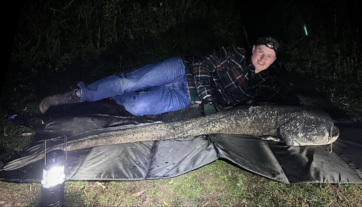 bbc bitesize catfishing