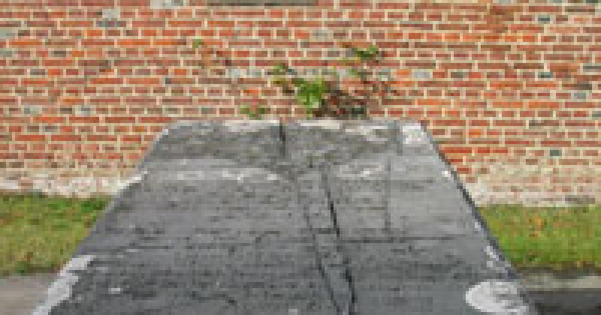 Work on Thomas Gray's Monument and the Gray family tomb starts ...