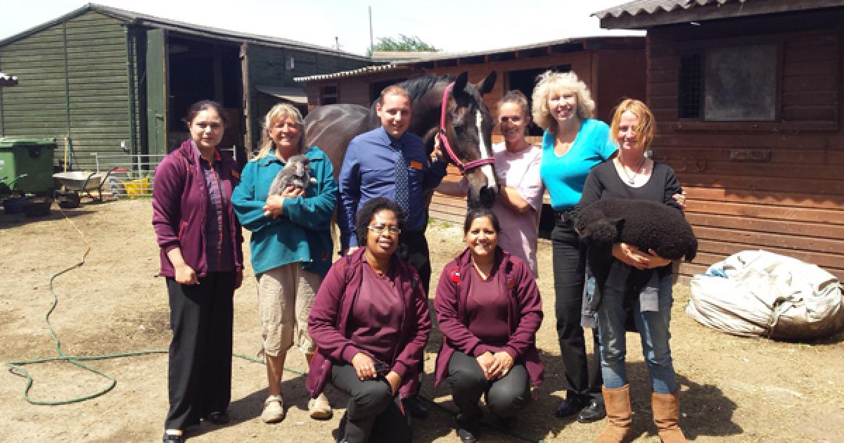 Supermarket boost for Animal Sanctuary UK - Maidenhead Advertiser