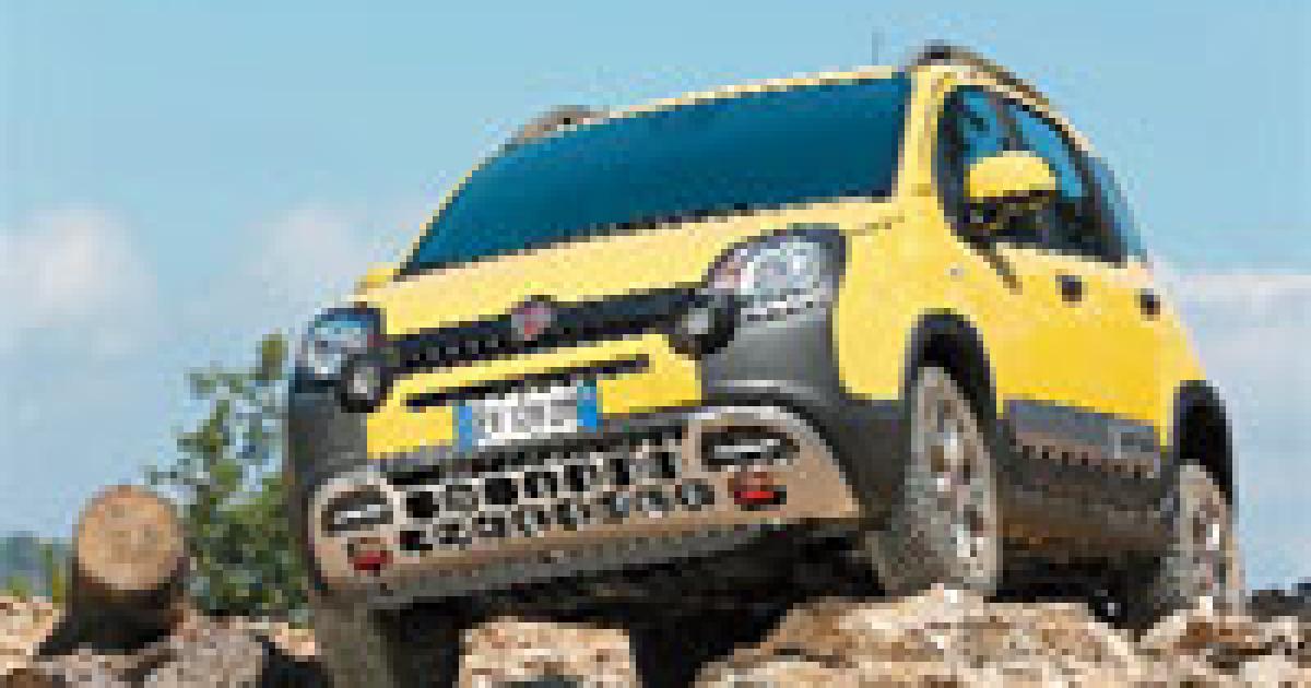 Panda Cross with chunky bumper - Maidenhead Advertiser