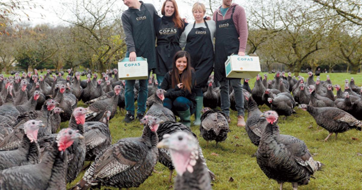 Copas Traditional Turkeys to supply festive birds for Cracker Appeal ...