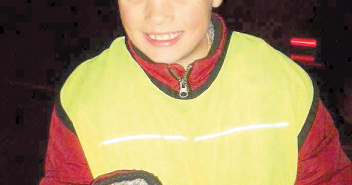 Toad patrol saves 800 toads from Deerswood - Maidenhead Advertiser