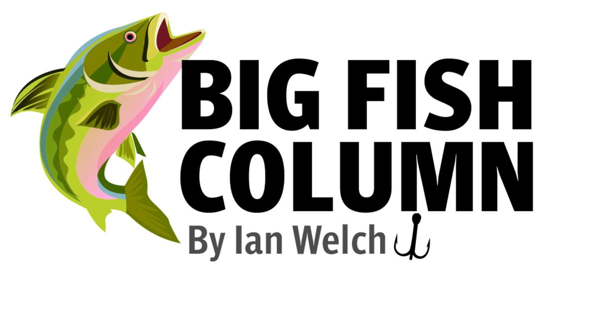 Big Fish Column: Tench fishing continues to improve with maggott or ...