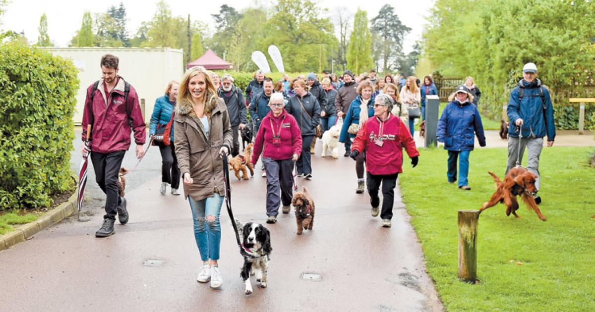 In pictures: Countdown's Rachel Riley joins hundreds of dogs for ...