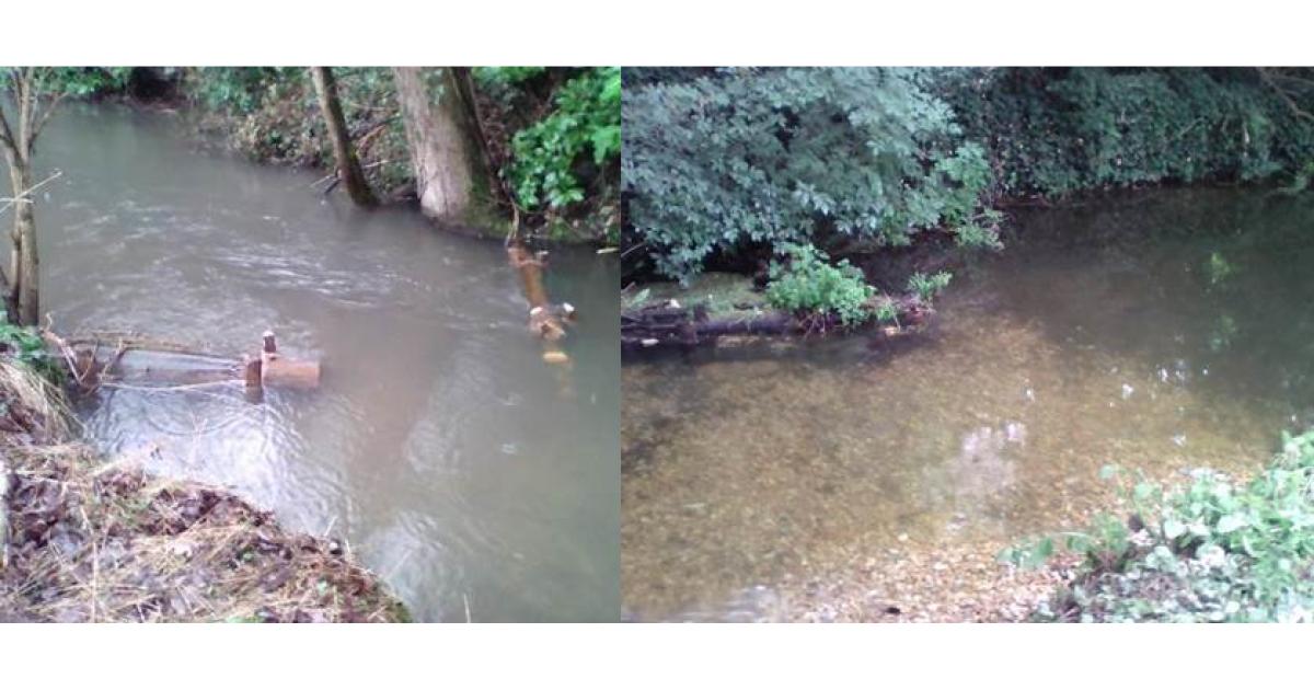 Clewer stream improvements help keep water healthy for wildlife ...