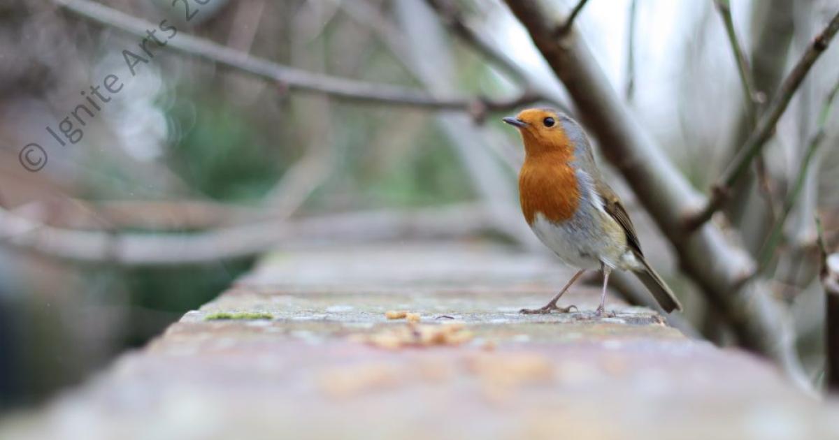 New calendar shows scenes from Wargrave and Ruscombe - Maidenhead ...