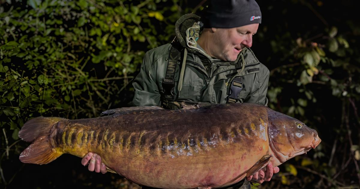 'Monster' carp caught at Dinton Pastures lake - Maidenhead Advertiser