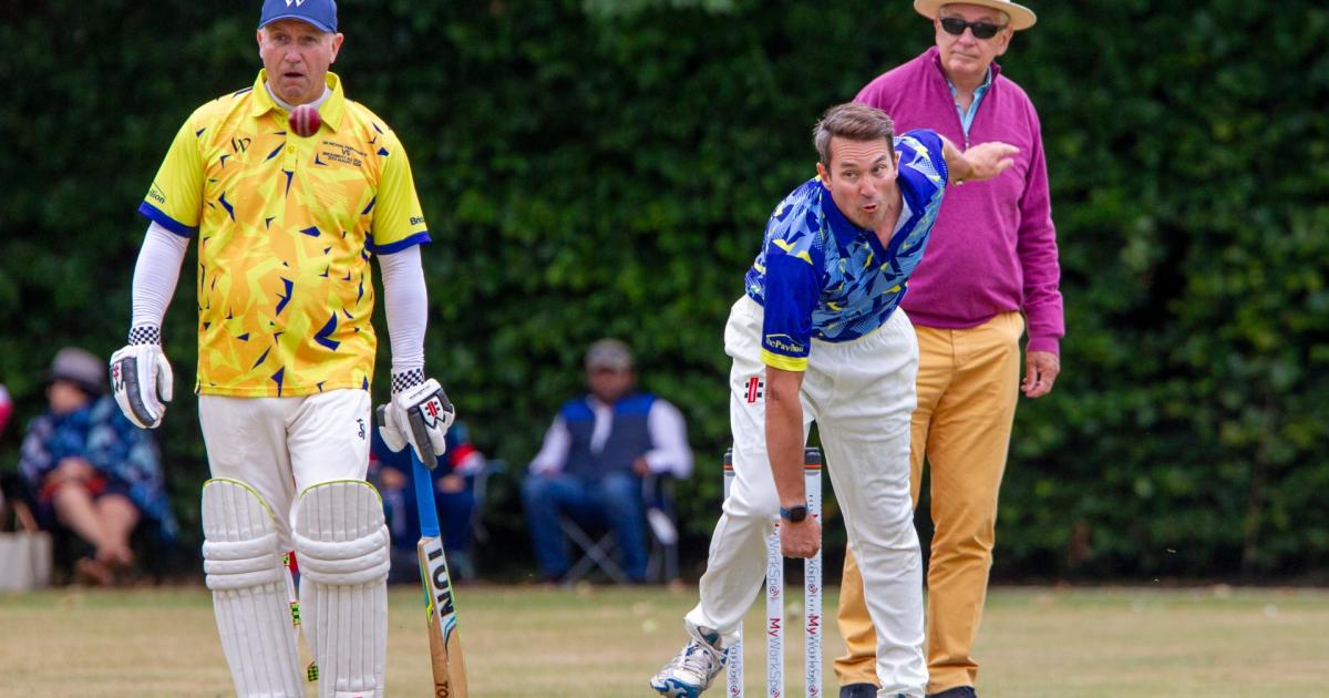 David Gower and Mike Gatting among stars at cricket weekend in memory ...