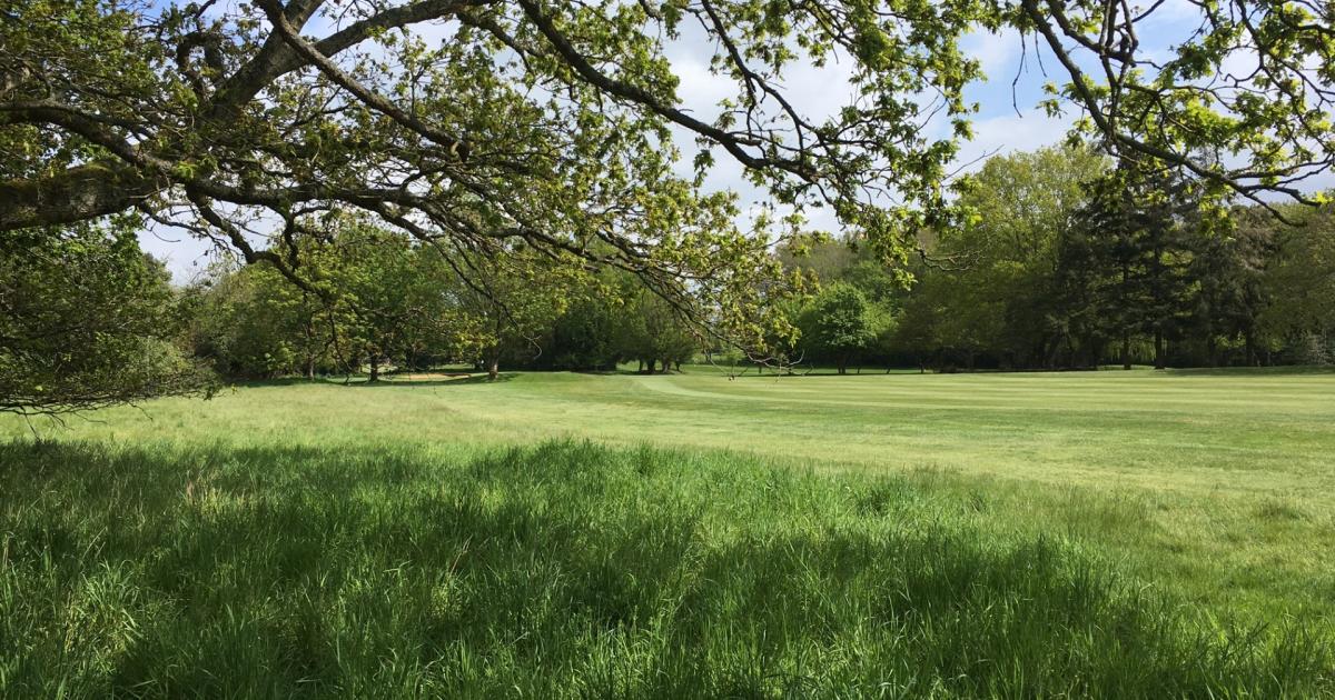 Campaign group hatches plan to try and buy Maidenhead Golf Course for ...