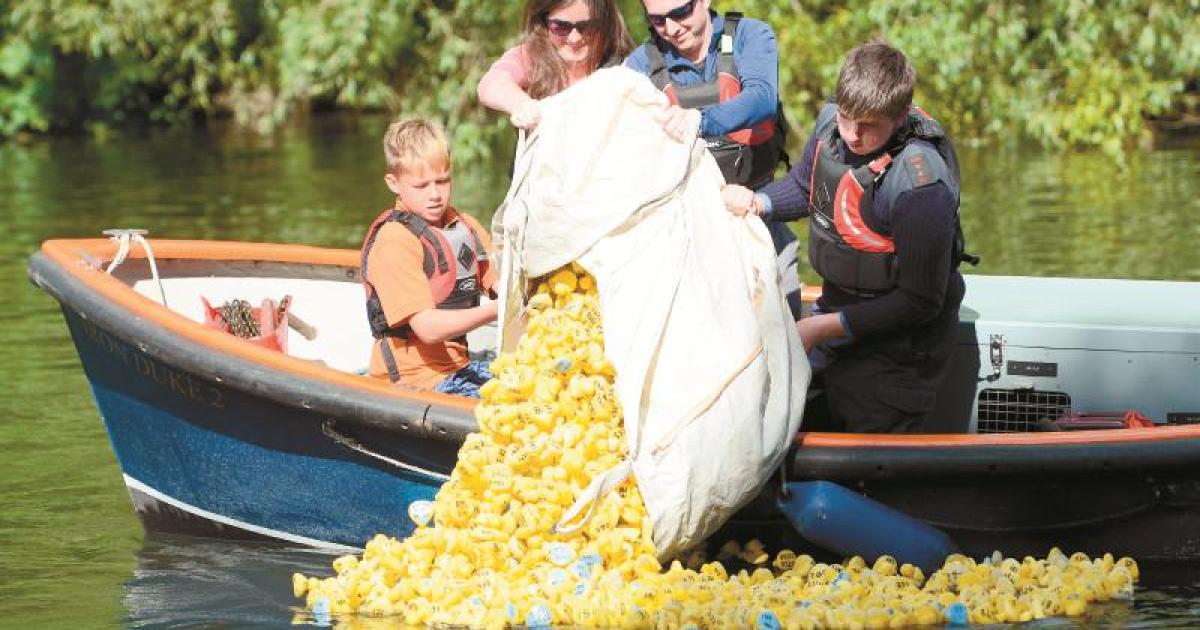 Thousands of plastic ducks to be released as Maidenhead Lions Duck ...