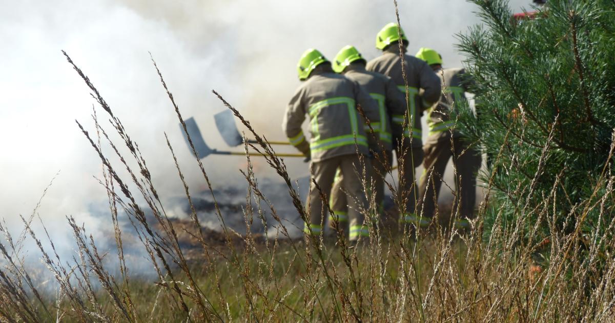 Firefighters warn Berkshire gardeners over weed killer that can ‘easily ...