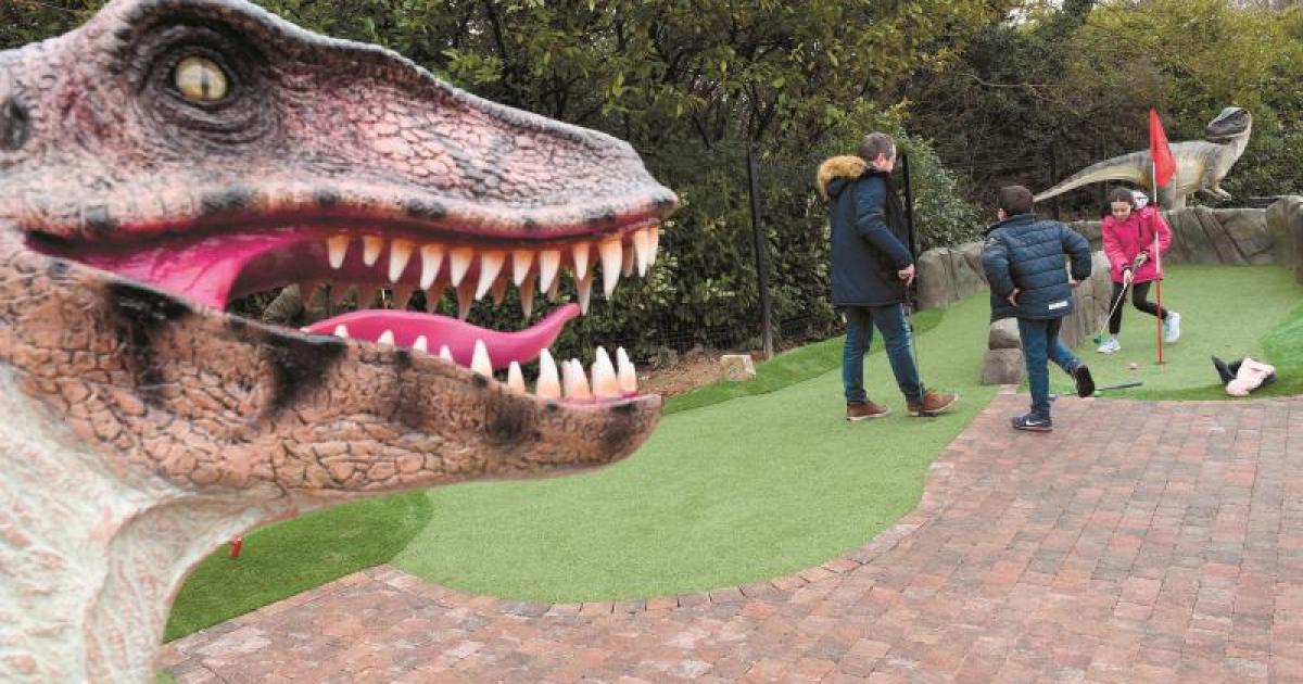 New dinosaur mini-golf course opens at Braywick Park - Photo 1 of 2 ...