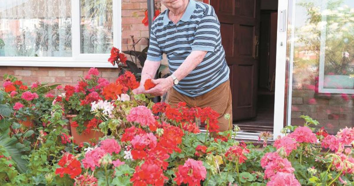 Green fingers to be rewarded this year's Garden in Bloom competition ...