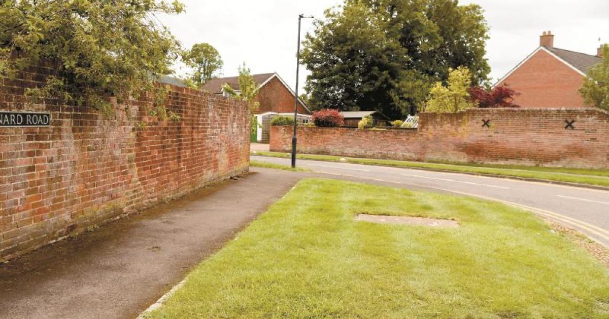 Residents fear 'ransom strip' as grass verges auctioned off - Photo 1 ...