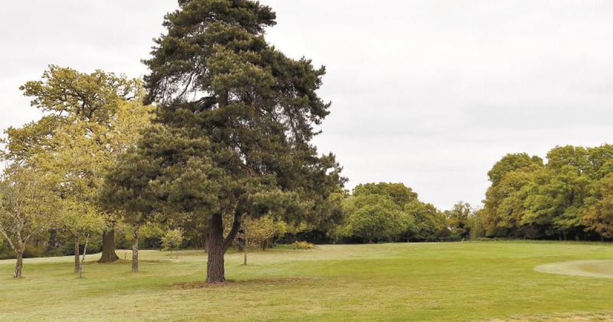 Maidenhead golf course plans recommended for approval - Maidenhead ...