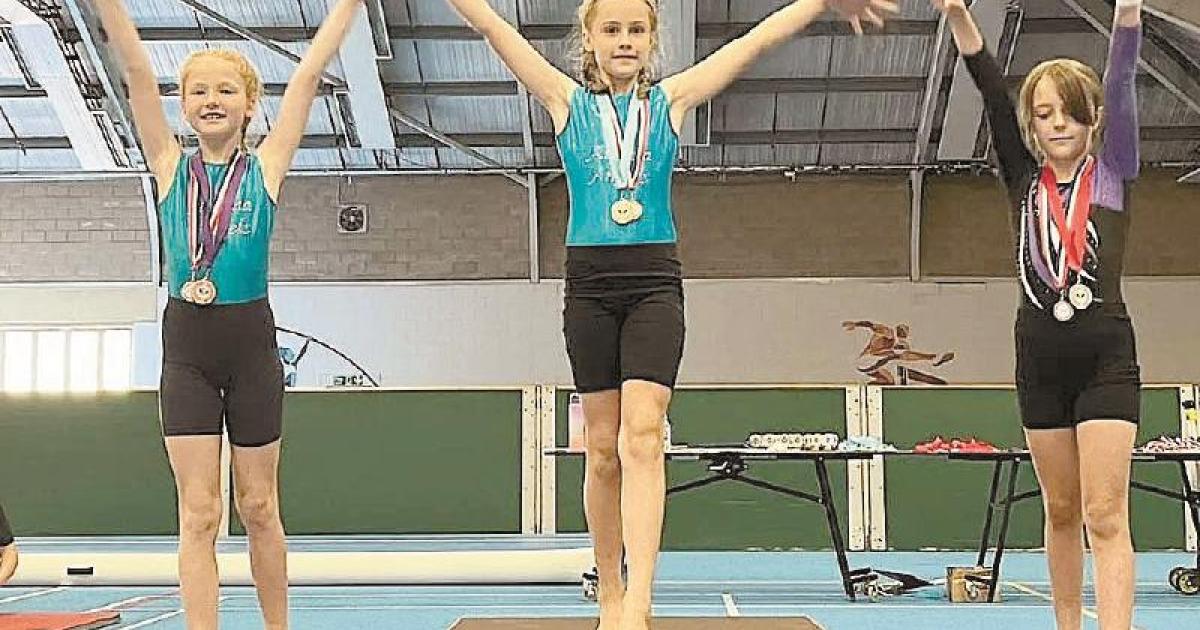 Gymnastics club collaborates with Royal Borough to hold festival and ...