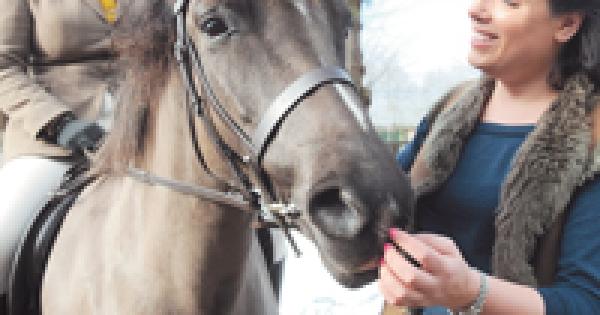 Equine careers demonstrated at BCA - Maidenhead Advertiser