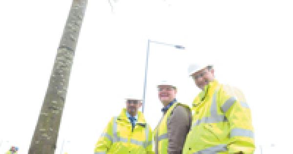 Trees planted for Heart of Slough project - Maidenhead Advertiser