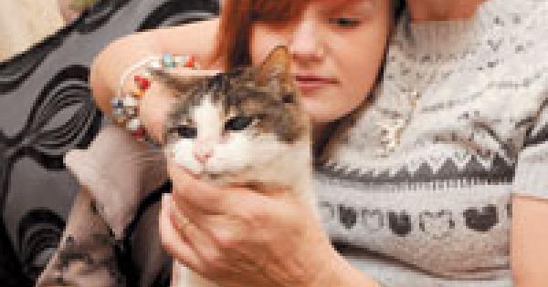 Beloved cat Bracken, 22, safely home again with family - Maidenhead ...