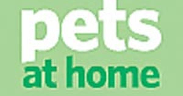 Get advice on how to keep your pets safe at workshops - Maidenhead ...
