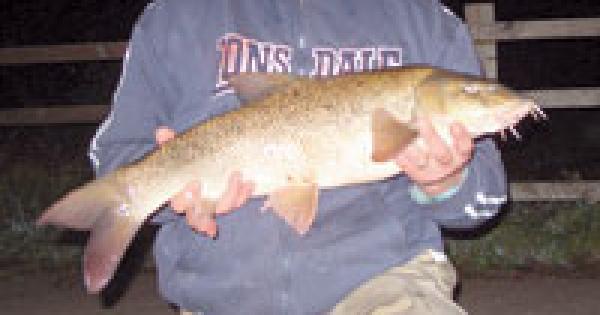Big Fish Column: Barbel anglers have plenty to shout about - Maidenhead ...