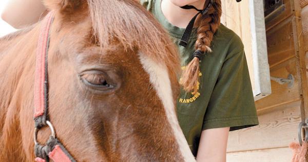 Windsor Horse Rangers looking for grown-ups to help out - Maidenhead ...