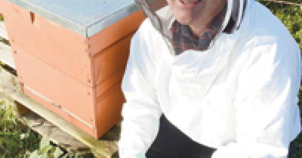 Bees and Honey: Spring cleaning - Maidenhead Advertiser