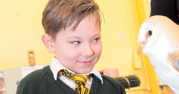 Students have a hoot at Cookham Rise Primary school with an owl ...