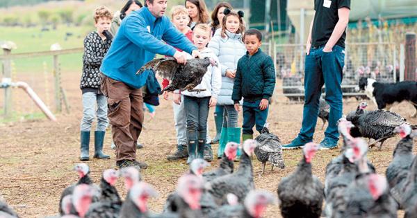 Children explore Cookham's Copas turkey farm - Photo 1 of 15 ...