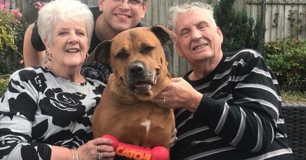 Battersea dog finds loving home after 287 days in kennels - Maidenhead ...