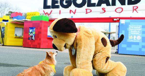 Instagram canine stars meet Legoland’s new mascot - Maidenhead Advertiser