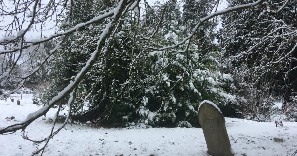 Maidenhead experienced 'rare' two inches of snow - Maidenhead Advertiser