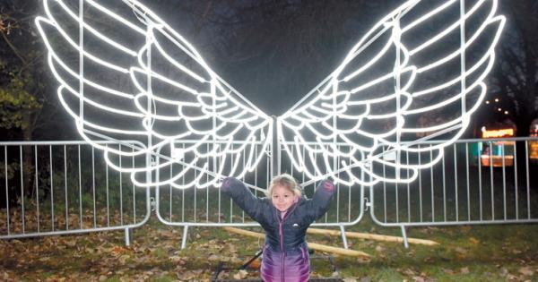 IN PICTURES: Faces light up at new Marlow Christmas lights trail in ...
