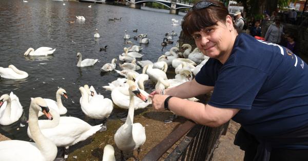 Swan Support seeks donations for new centre at Bray Lake - Maidenhead ...