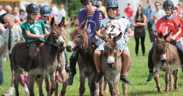 Thousands expected for Twyford Donkey Derby - Photo 1 of 1 - Maidenhead ...