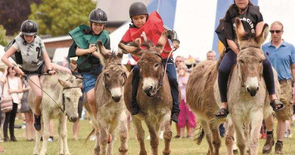 In pictures: The 25th Twyford Donkey Derby - Photo 1 of 11 - Maidenhead ...