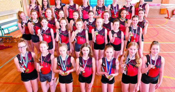 High flying Newlands Girls School gymnastics squads qualify for ...