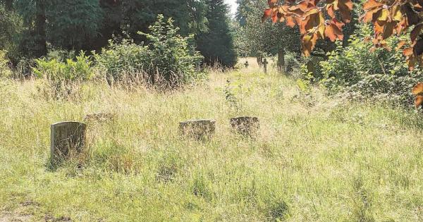 Visitor left 'horrified' by state of Maidenhead cemetery - Photo 1 of 1 ...