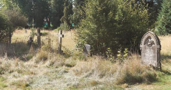 Royal Borough pressed on its maintenance of cemeteries - Photo 1 of 1 ...