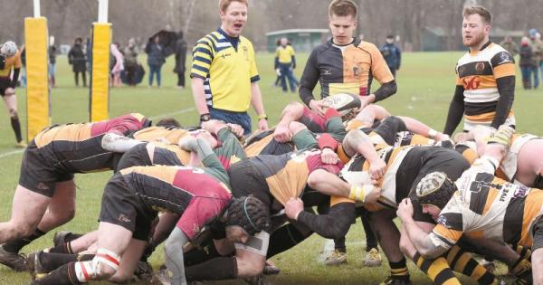 Rugby round-up: Windsor ready to get down to business under near head ...