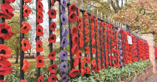 Five thousand knitted and crocheted poppies on display in Marlow ...