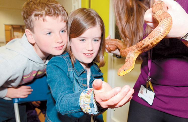 In pictures: Reptiles win over new friends at Dedworth Library - Photo ...