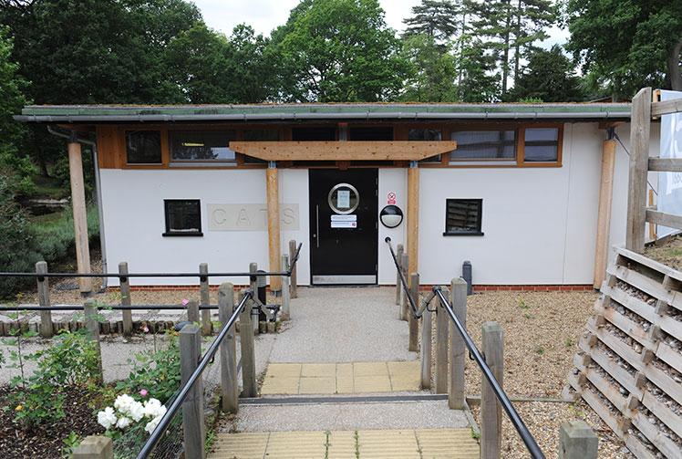 Meet the cats and dogs at Battersea Old Windsor - Photo 1 of 2 ...