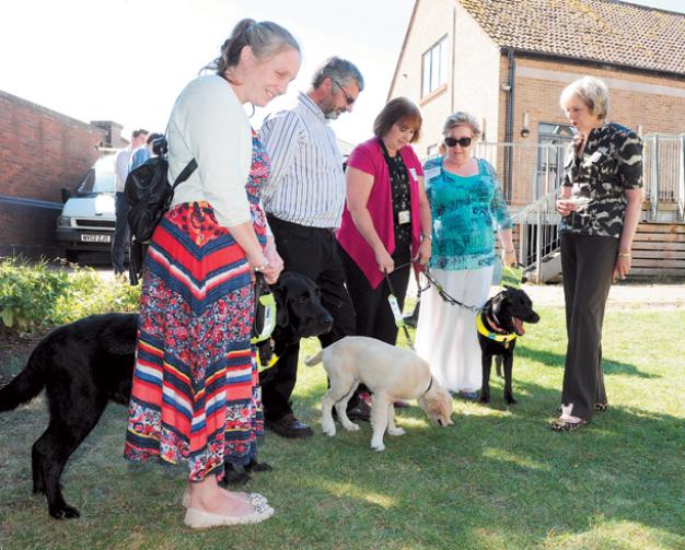 Prime Minister meets guide dog campaigners on National Dog Day - Photo ...