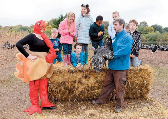 Children explore Cookham's Copas turkey farm - Photo 2 of 15 ...