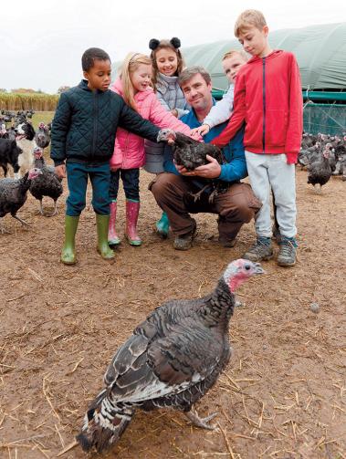Children explore Cookham's Copas turkey farm - Photo 1 of 15 ...