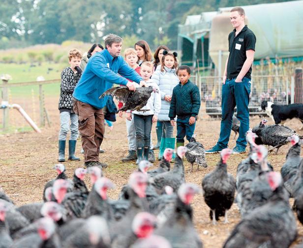 Children explore Cookham's Copas turkey farm - Photo 1 of 15 ...