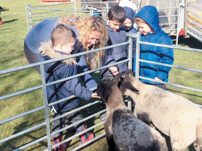 Mobile farm visits Furze Plant Infant School - Photo 1 of 9 ...