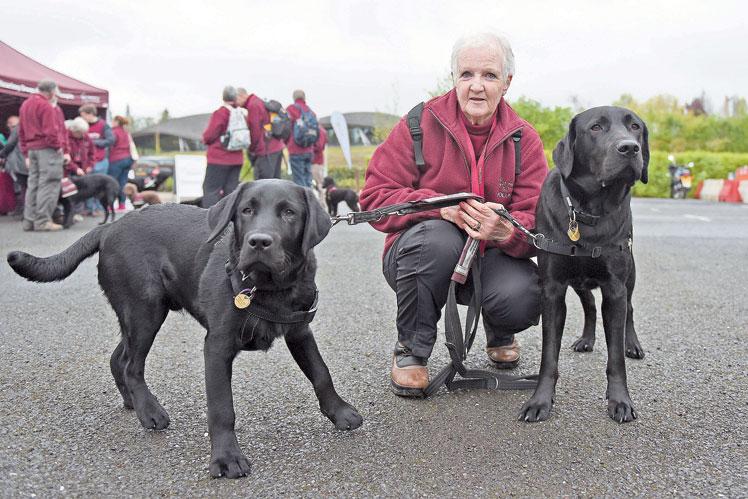 In pictures: Countdown's Rachel Riley joins hundreds of dogs for ...