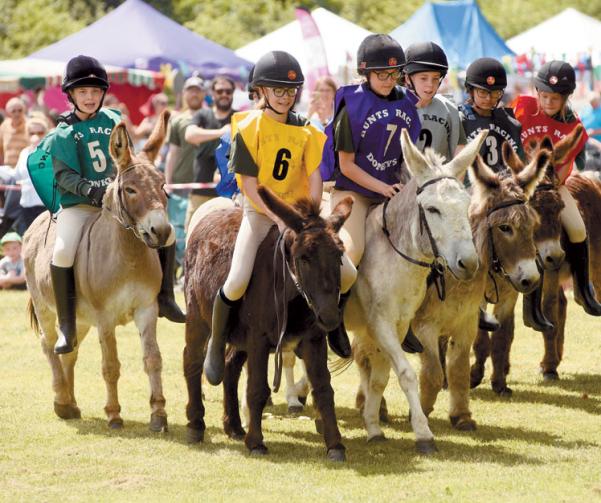 In pictures: The 28th Burnham Donkey Derby - Photo 1 of 16 - Maidenhead ...